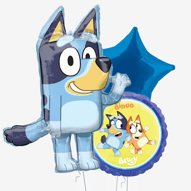 Bluey Balloons | Box Balloons | Helium Balloon Delivery
